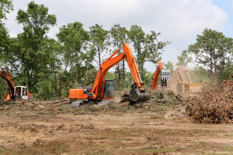 What is the Most Efficient Way to Clear Land